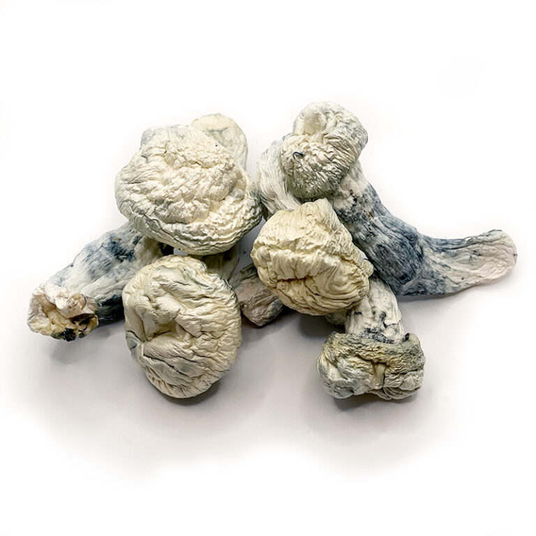 Magic Mushrooms Oregon | Psilocybin Mushroom Store Portland