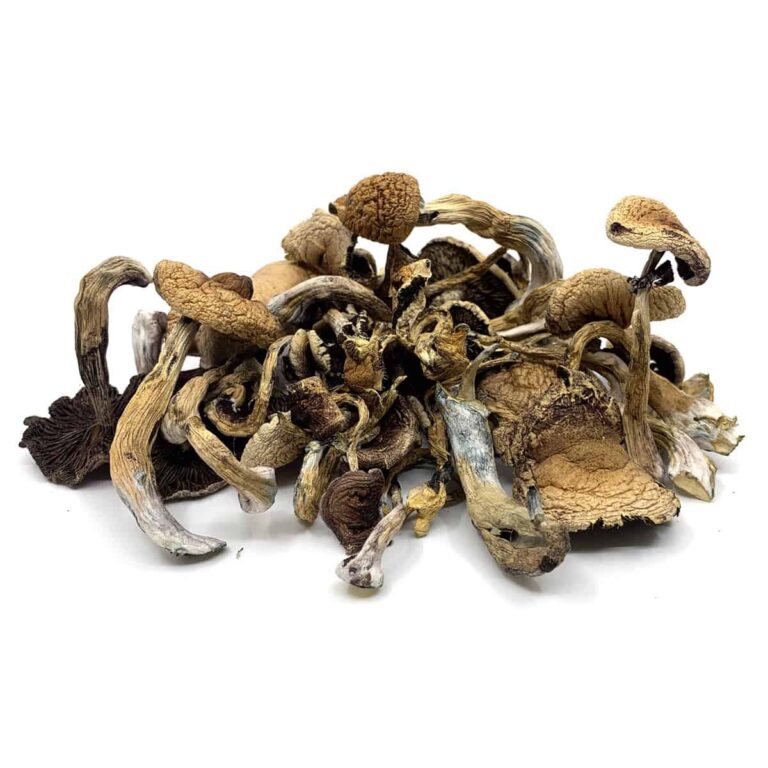 Mushroom Dispensary Detroit Michigan | Psilocybin Mushrooms